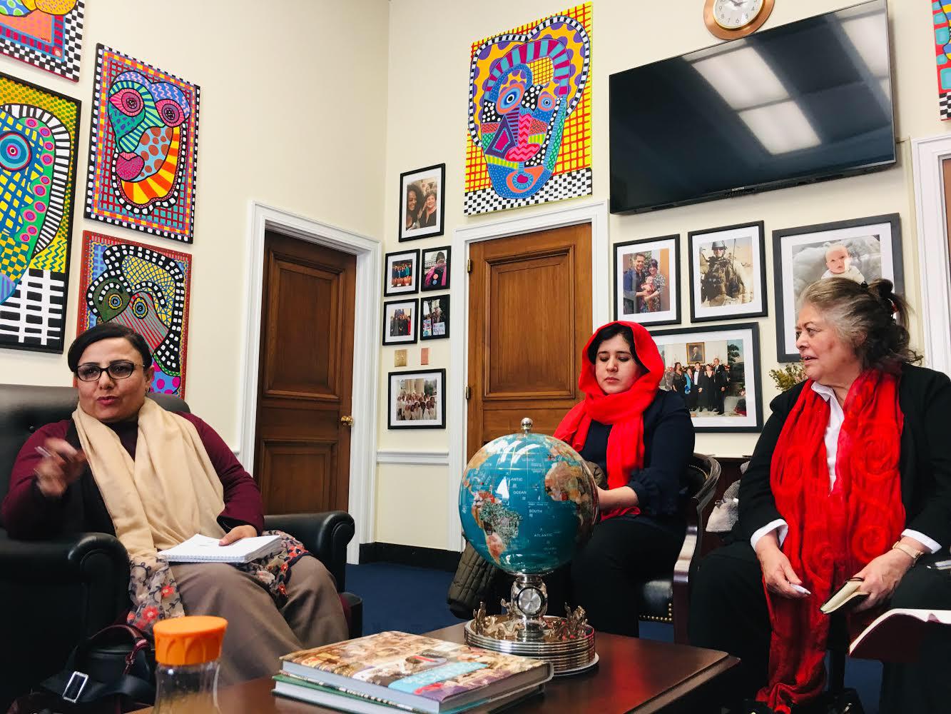 Afghan Diaspora for Equality & Progress – Here to make noise